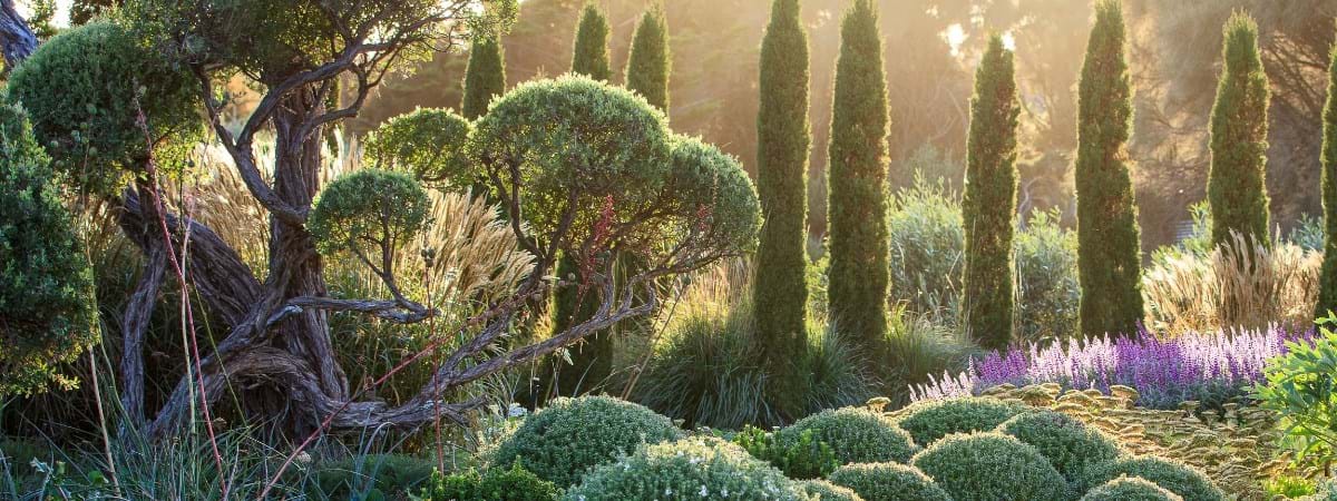 Victorian Landscape Industry Awards | Landscaping Victoria
