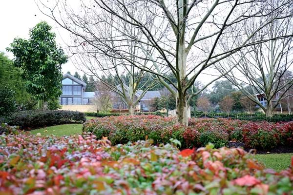 Landscape Management and Maintenance